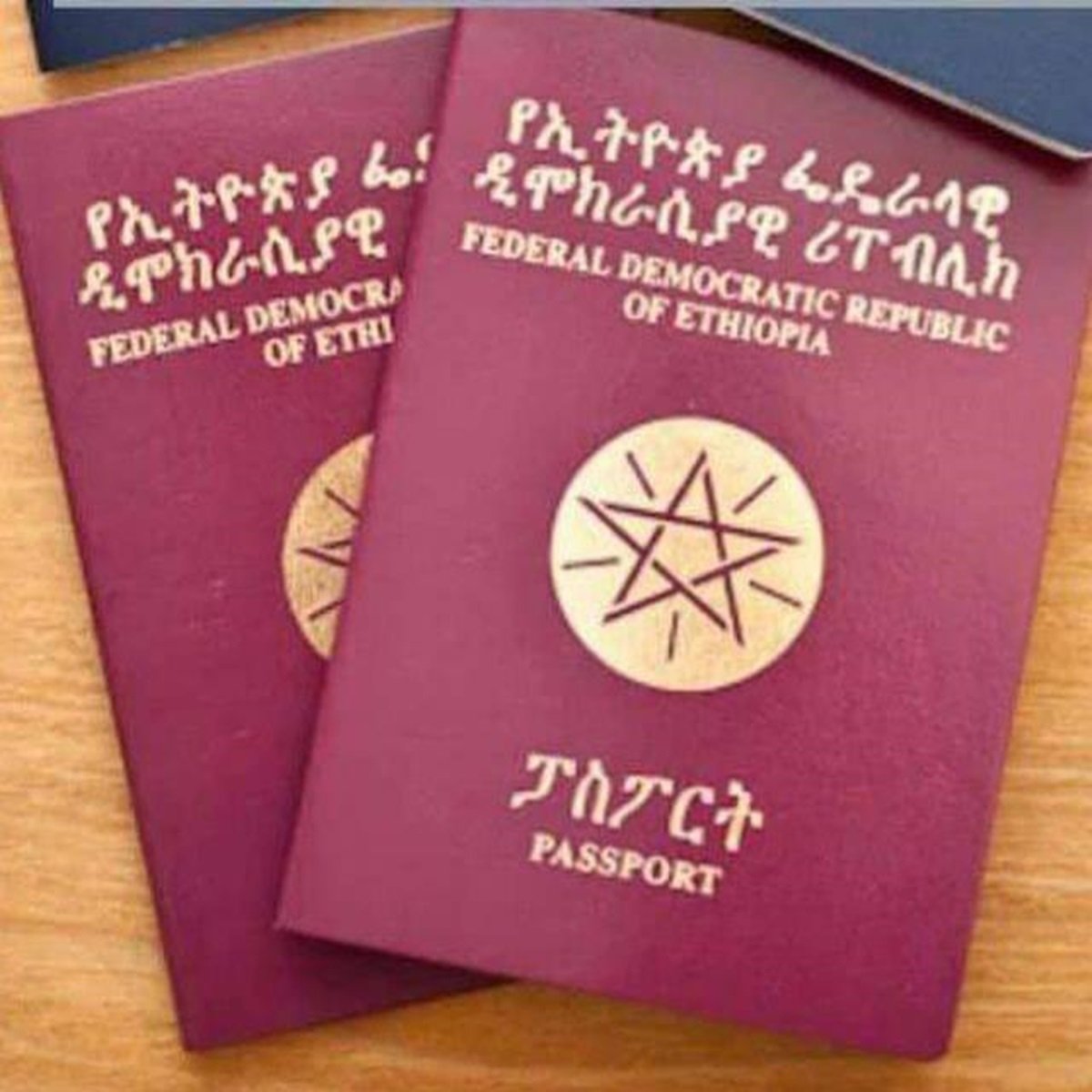 Passport Services – Your Gateway to Ethiopia